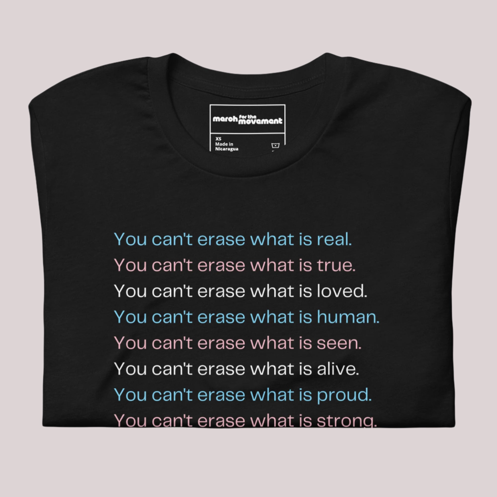 Trans Erasure Shirt - Trans Ally – March For The Movement